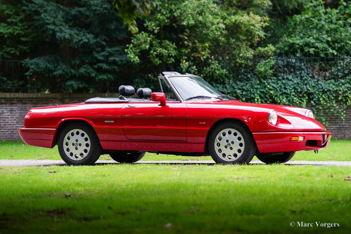 Spider Archives - Classic Promenade