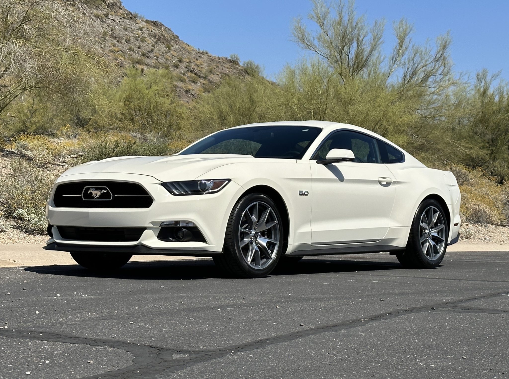 2015 Mustang 50th Anniversary Edition - Classic Promenade
