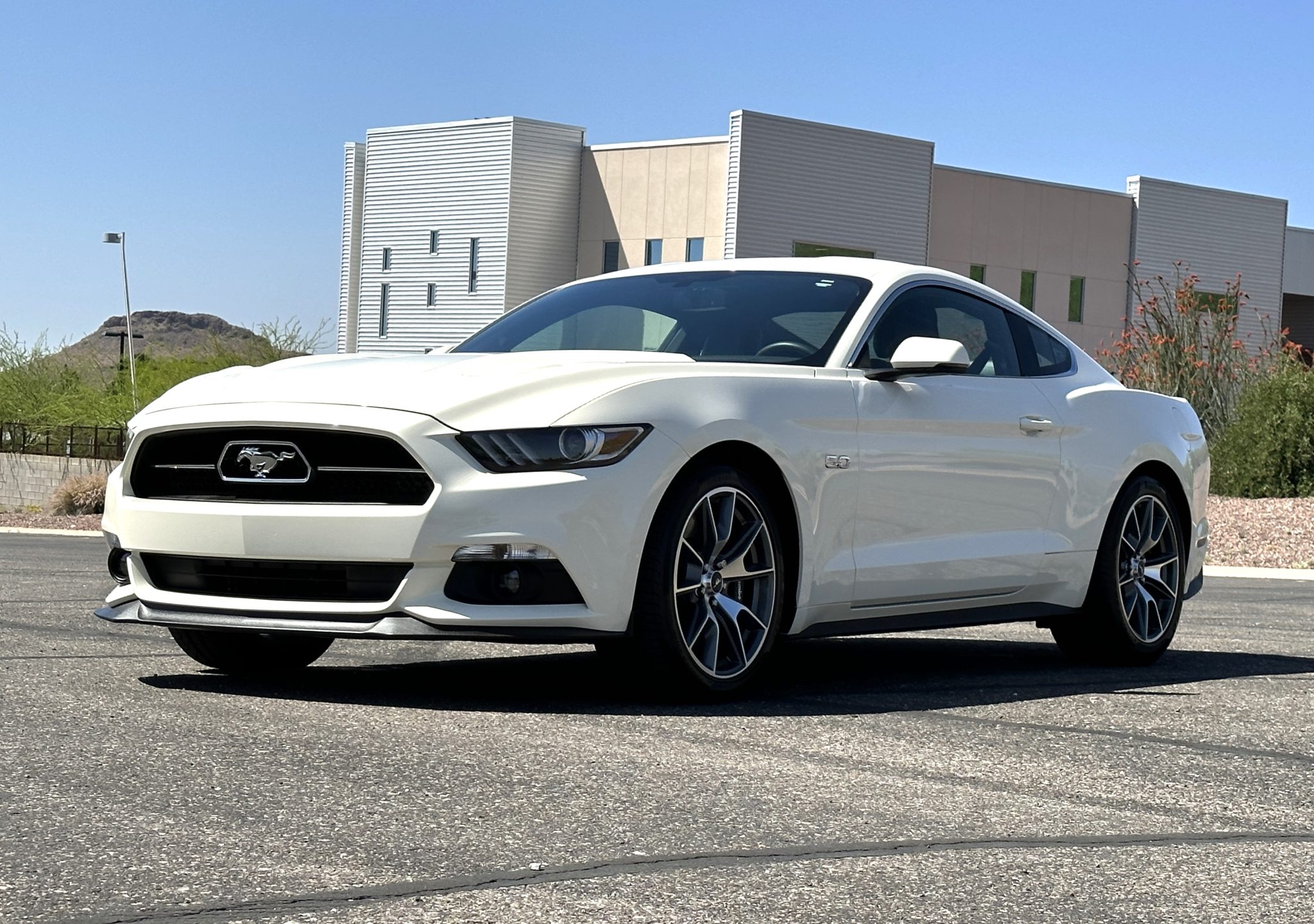 2015 Mustang 50th Anniversary Edition - Classic Promenade